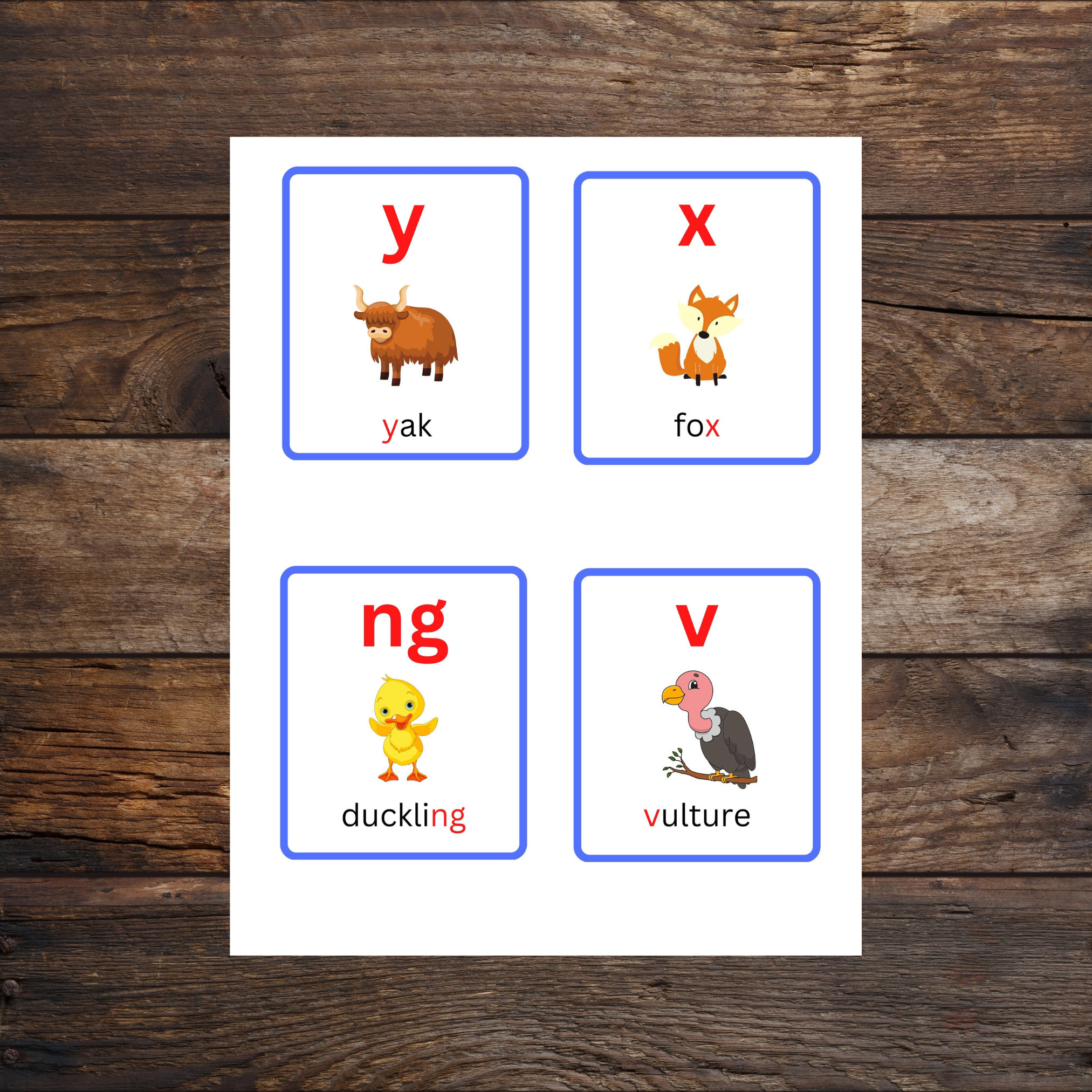 A Full Set of 42 Animal Phonics Sounds Including Recommended Teaching ...