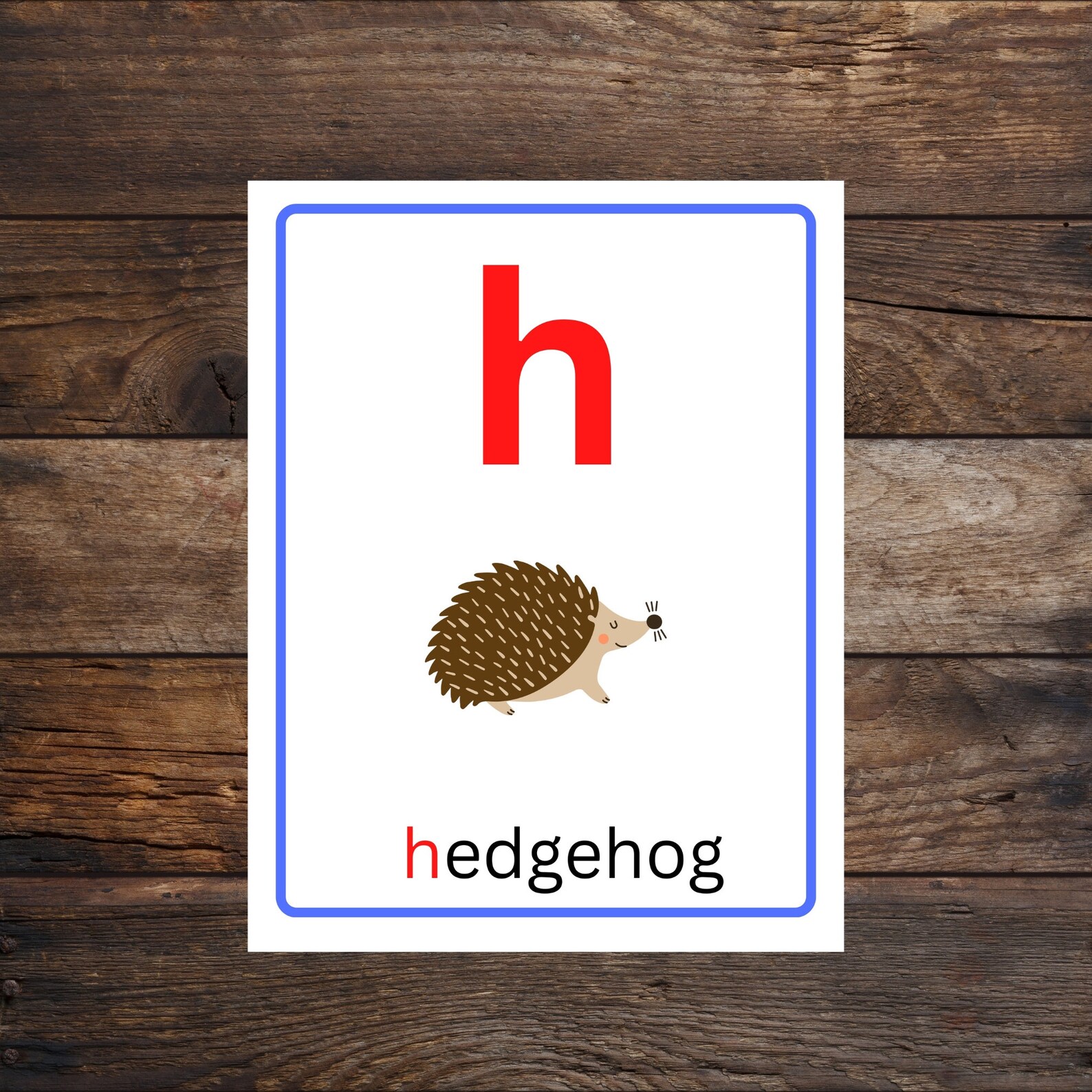 A Full Set of 42 Animal Phonics Sounds Including Recommended Teaching ...