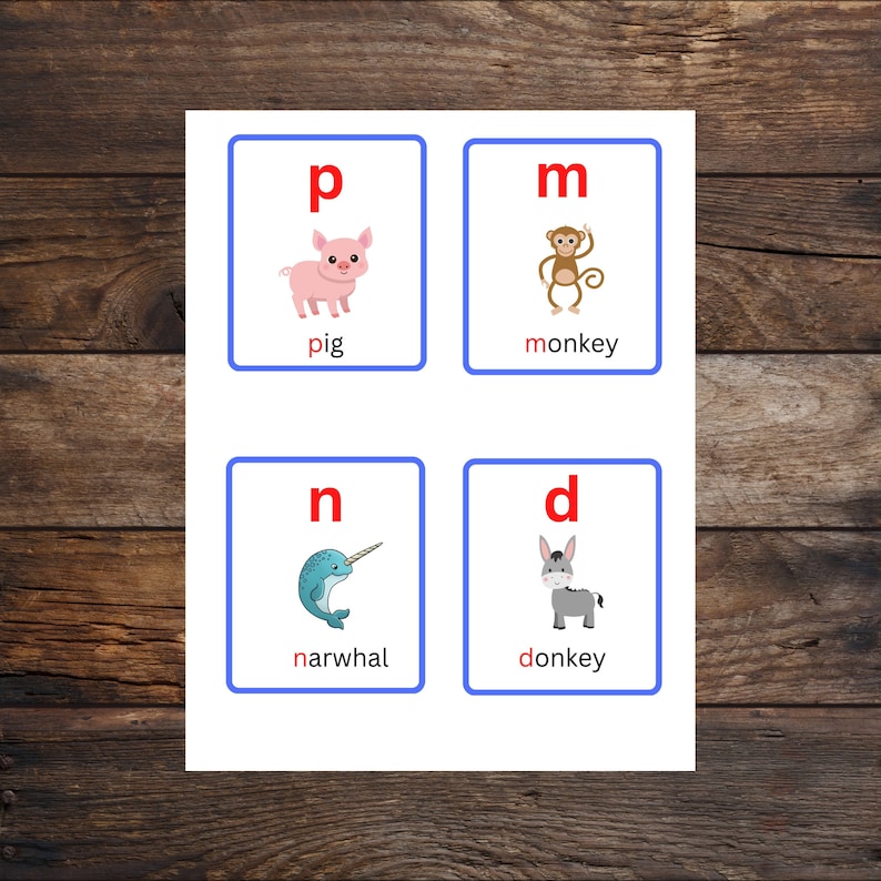 A Full Set of 42 Animal Phonics Sounds Including Recommended Teaching ...
