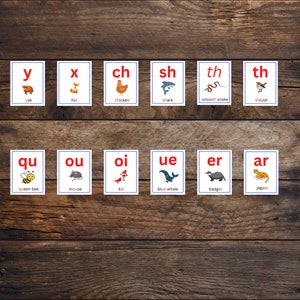 A Full Set of 42 Animal Phonics Sounds Including Recommended Teaching ...