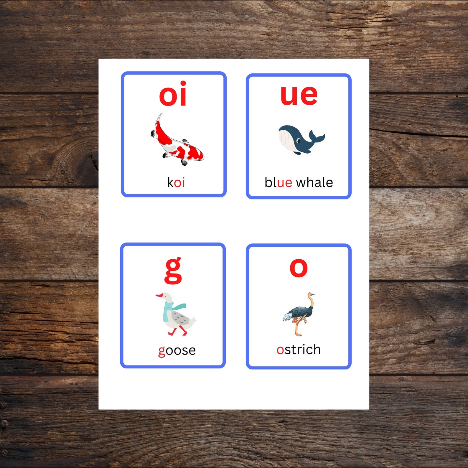 A Full Set of 42 Animal Phonics Sounds Including Recommended Teaching ...