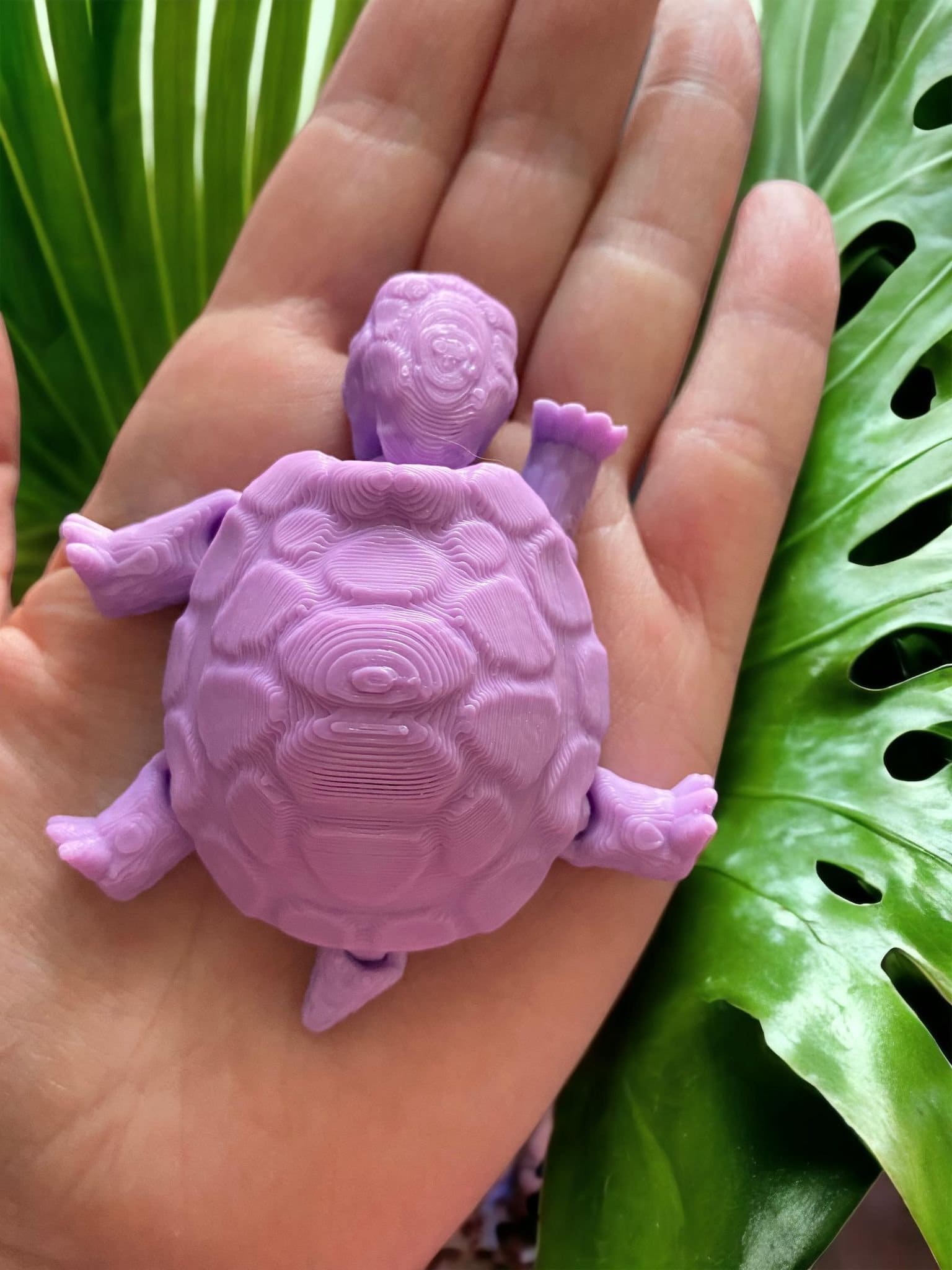 Box Turtle STL, Flexible, 3D - Etsy