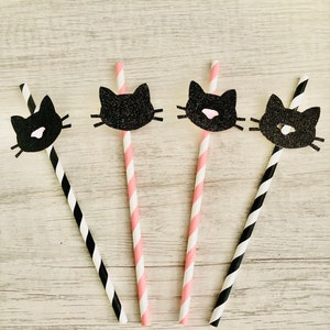 Cat Straws/black Cat Straws/kitty Party/kitty Birthday Party/halloween ...