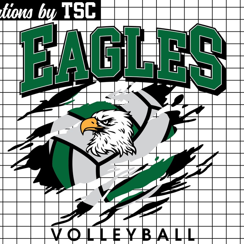 Falcon Volleyball Svg - Etsy