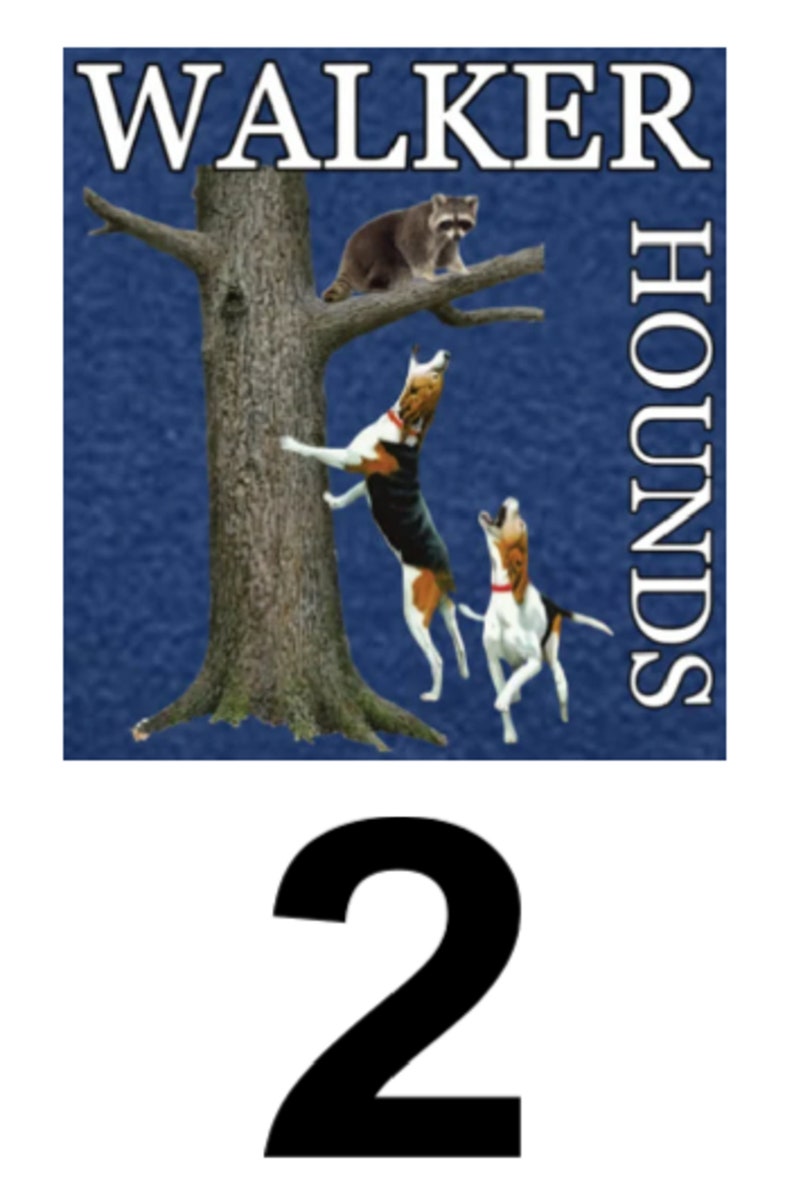 Walker Coon Dog, Hunting, Hound, Raccoon, Pet, Outside, Woods, Treeing ...