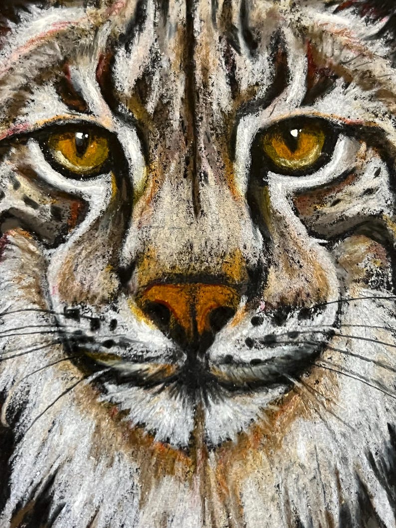 Orion-mighty Hunter, Original Pencil Drawing - Etsy