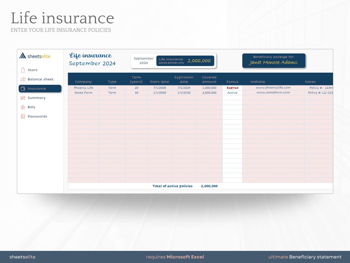 Ultimate Beneficiary Statement - Microsoft Excel - Instant Download ...