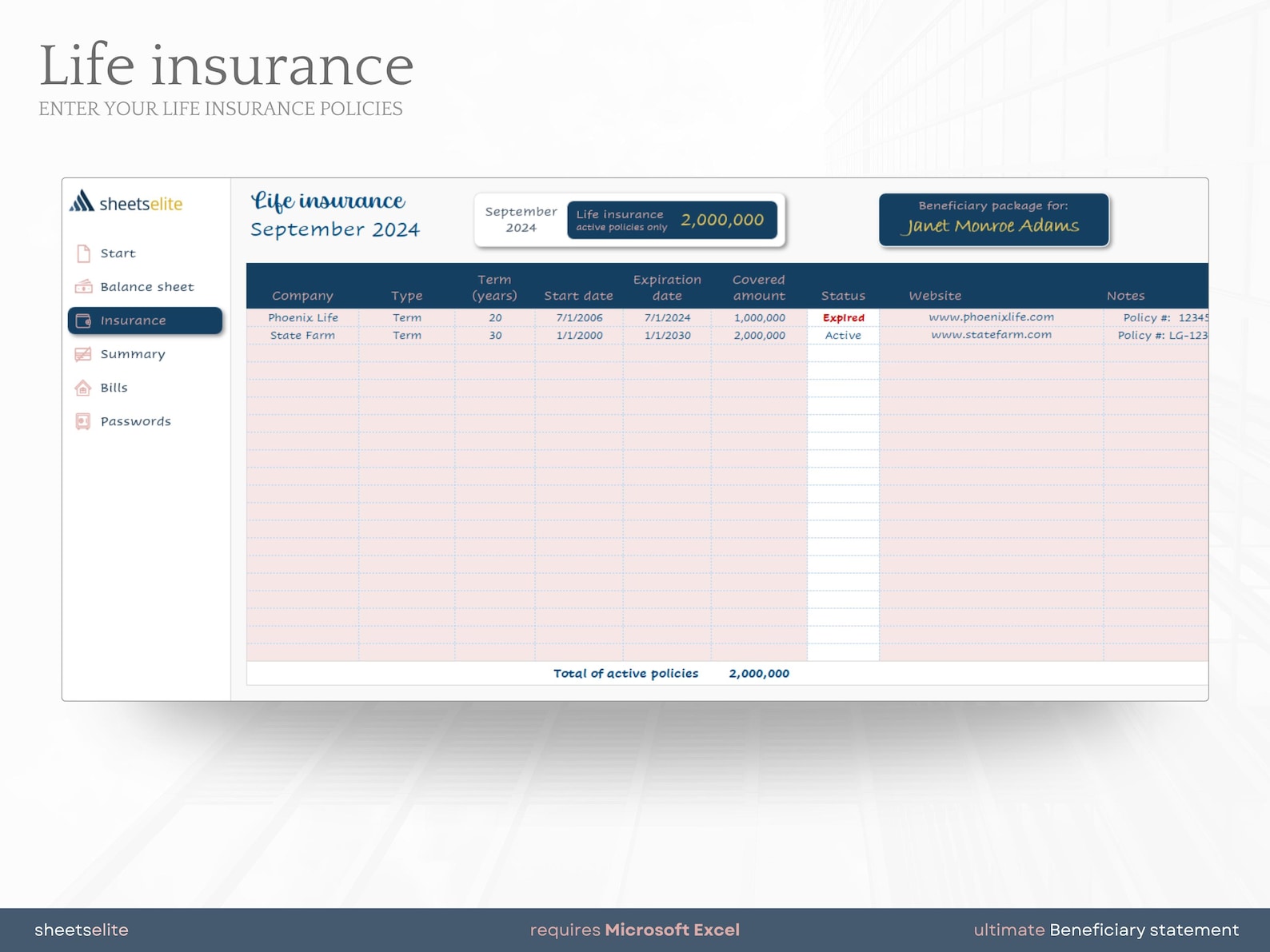 Ultimate Beneficiary Statement - Microsoft Excel - Instant Download ...