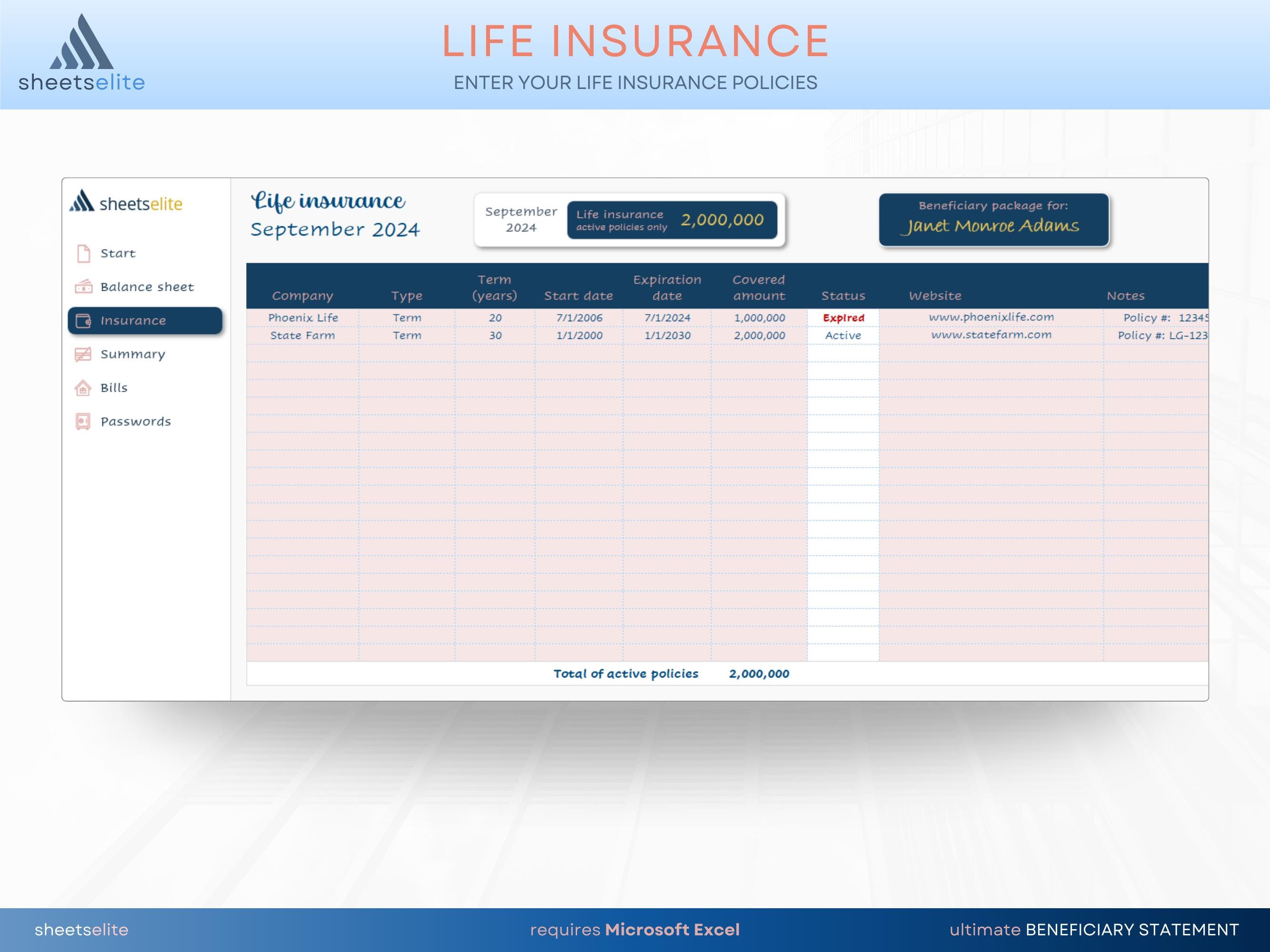 Ultimate Beneficiary Statement - Microsoft Excel - Instant Download ...