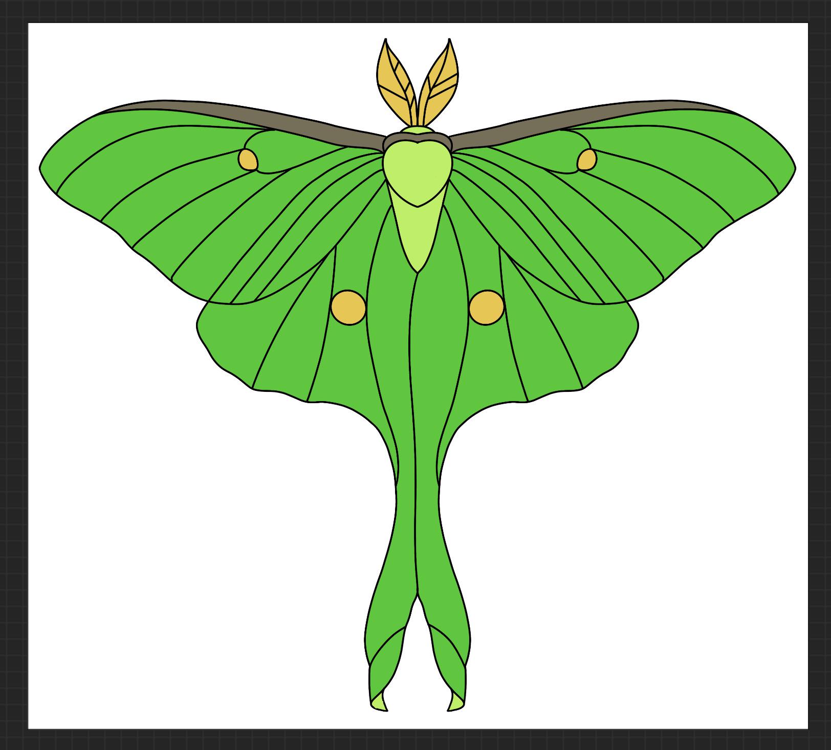 Luna Moth Stained Glass Pattern - Etsy