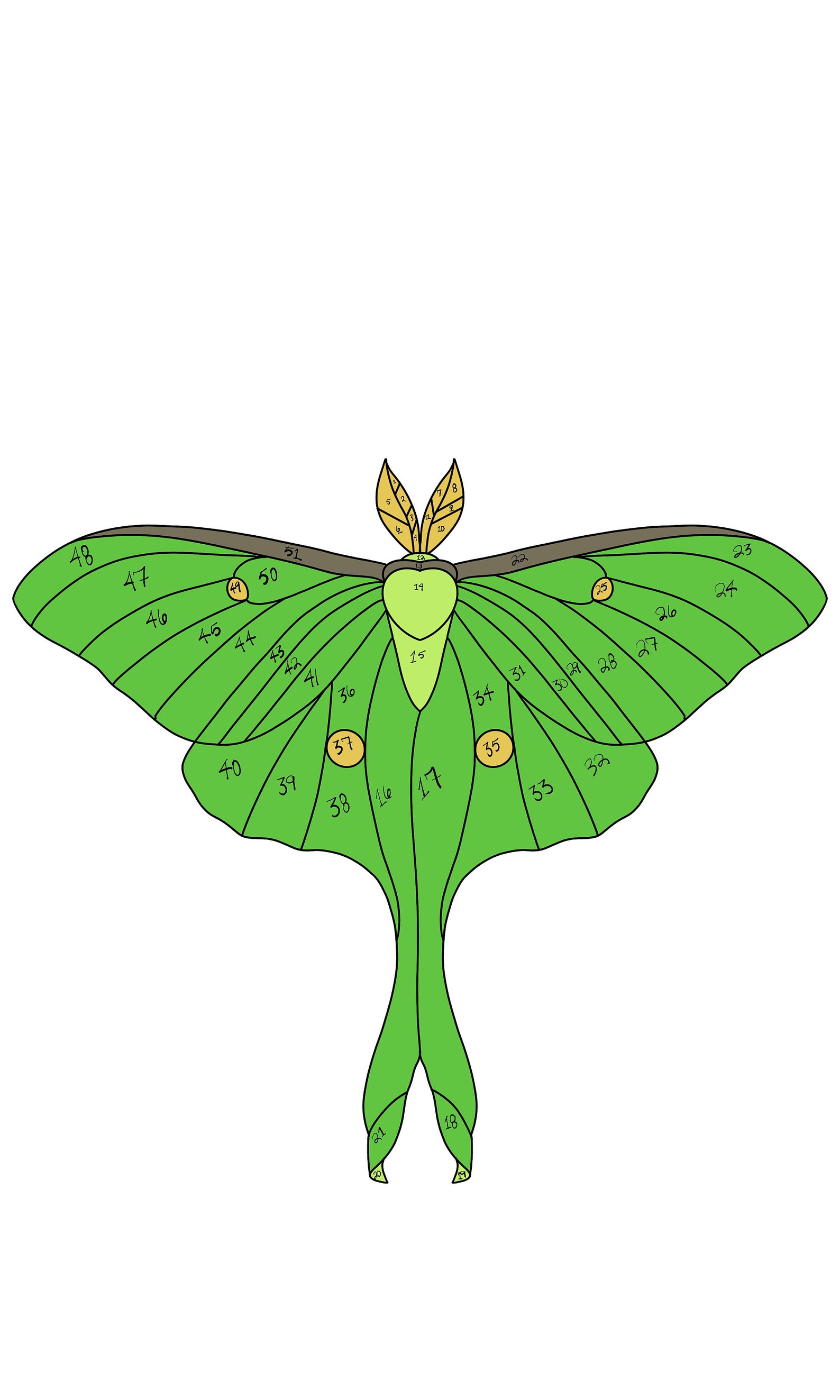 Luna Moth Stained Glass Pattern - Etsy