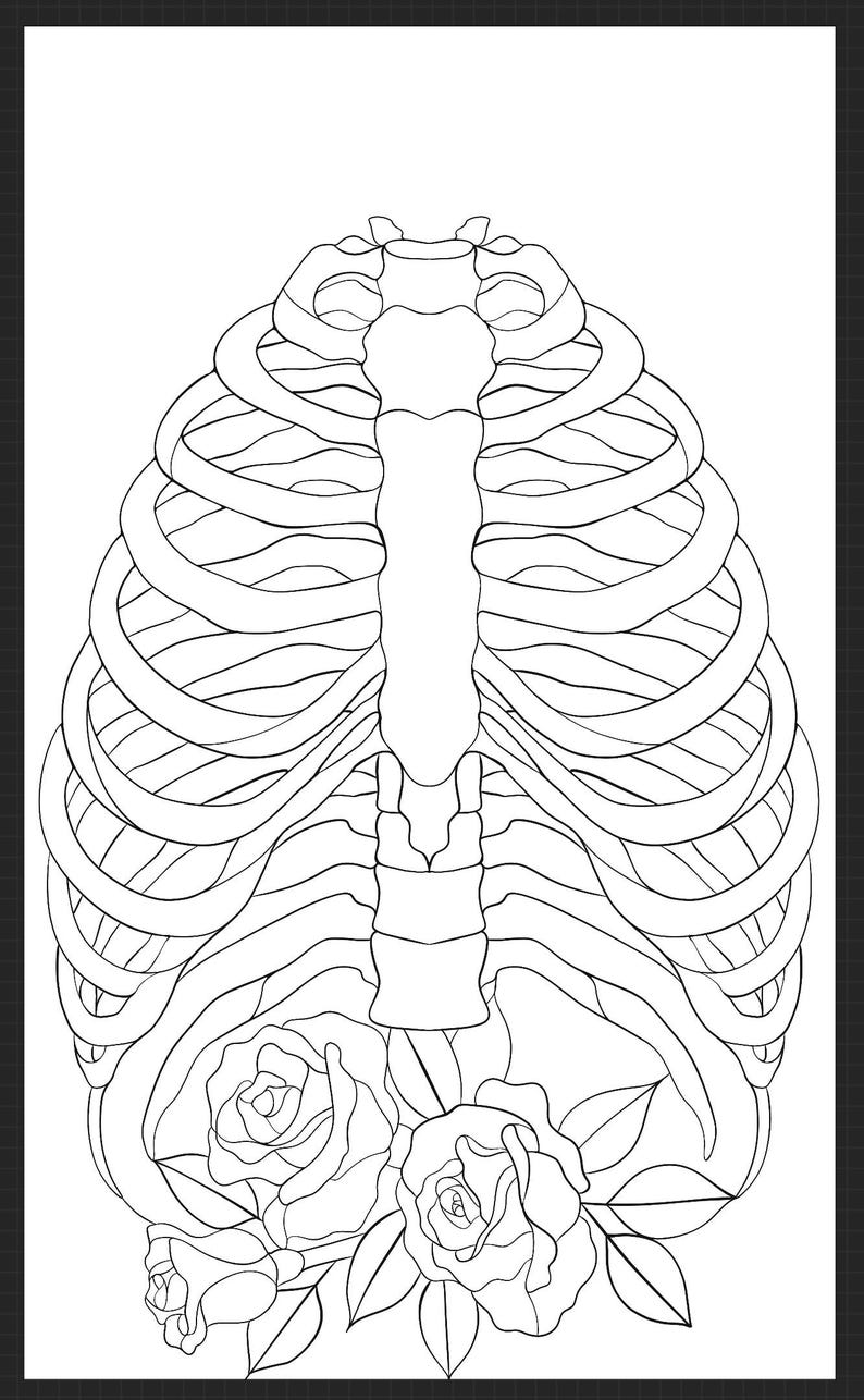 Ribs and Roses Stained Glass Window Pattern - Etsy