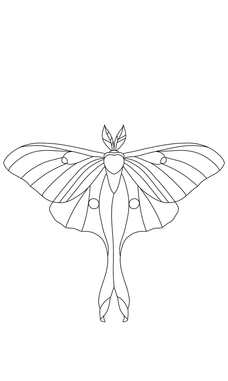 Luna Moth Stained Glass Pattern - Etsy