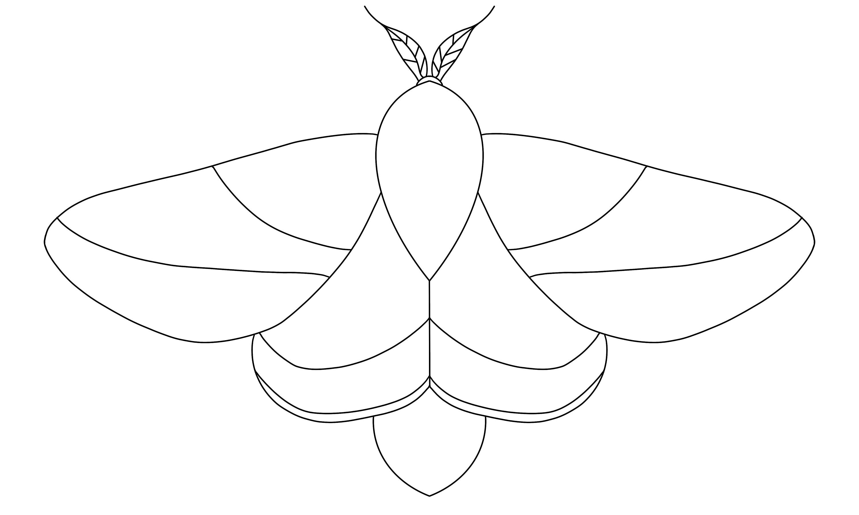 Rosy Maple Moth Stained Glass Pattern - Etsy