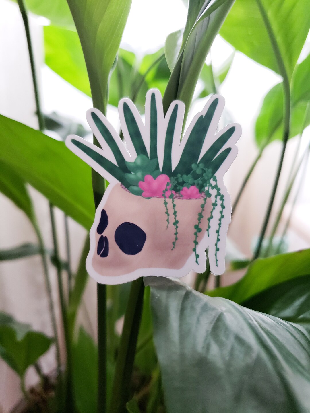 Green Succulent and Snake Plant Sticker Punk Skull Skeleton Mohawk ...