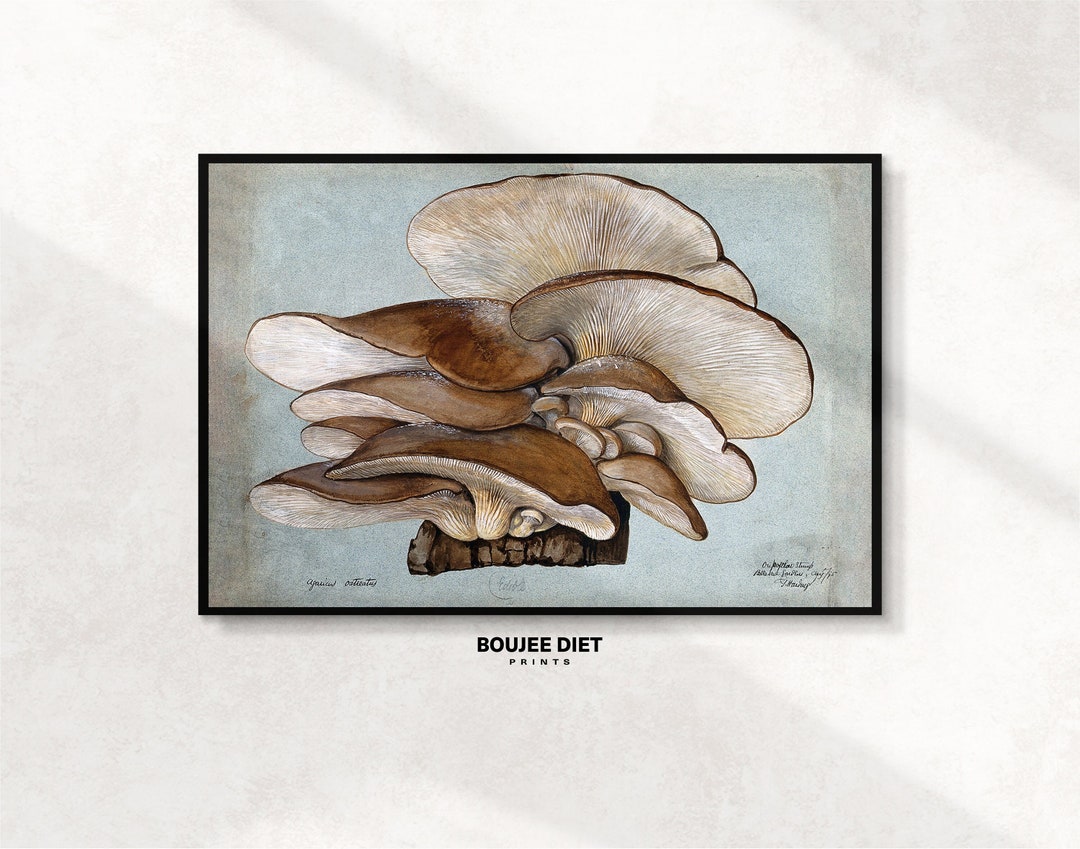Rustic Blue Vintage Farmhouse Kitchen Print | Oyster Mushrooms Instant ...