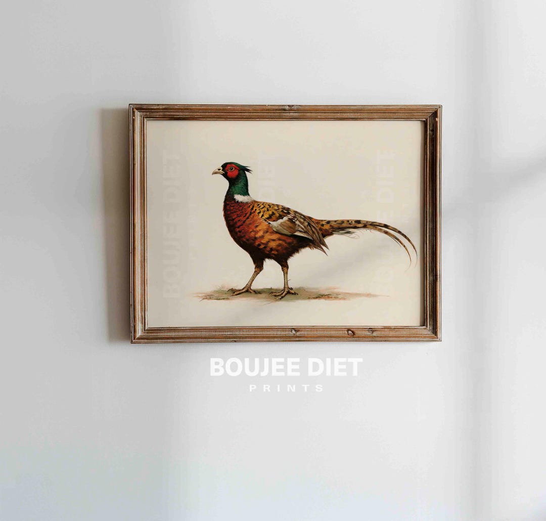 Magnificent Pheasant Art: Rustic Wildlife Bird, Autumn Lodge Decor ...