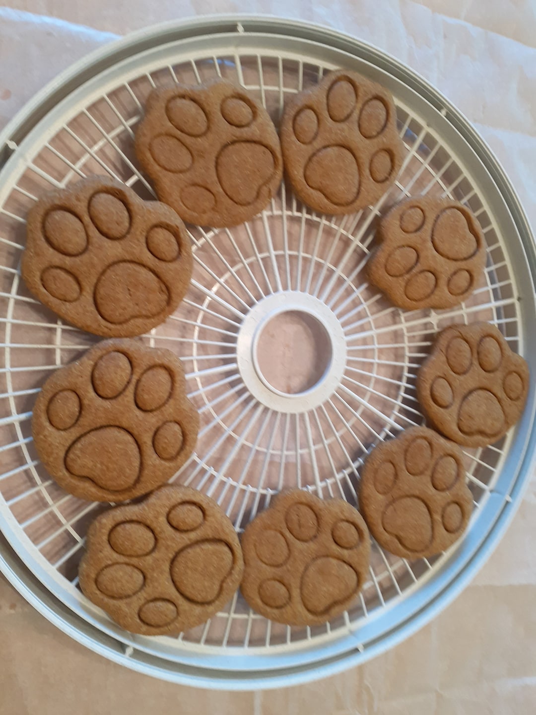 Handmade Large Dog Paw Cookies Dehydrated Paw Shaped Cookies for Dog's ...