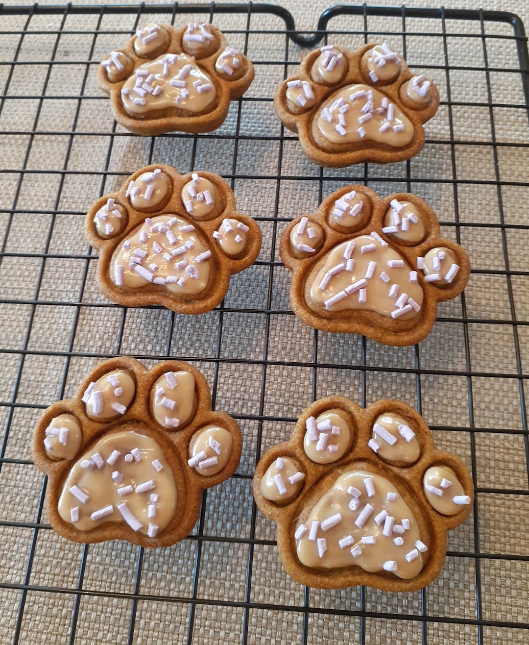 3D Doggy Paw Dog Treats Frosted & Decorated Dog Biscuit's Great for Dog ...