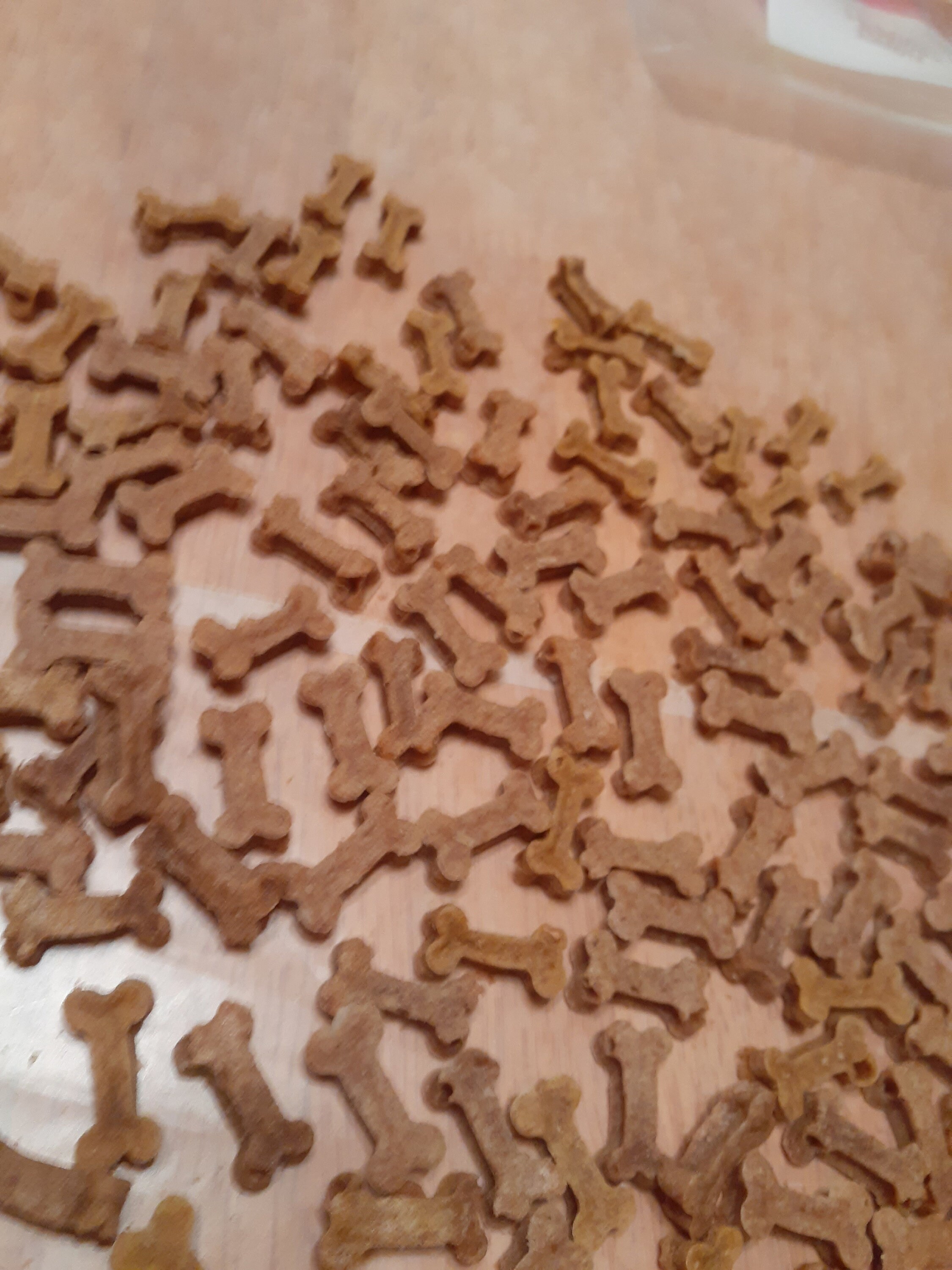 Mini Dog Bones Training Treats in Bulk Wholesale Affordable Dog Treats ...
