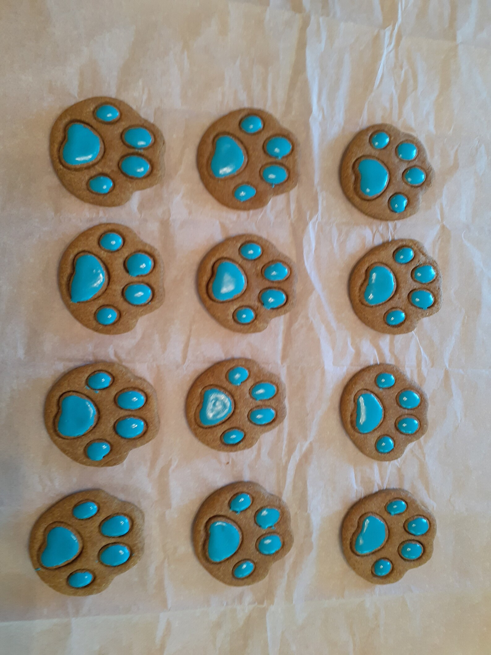 Handmade Large Dog Paw Cookies Dehydrated Dog Treats Frosted Sky Blue ...