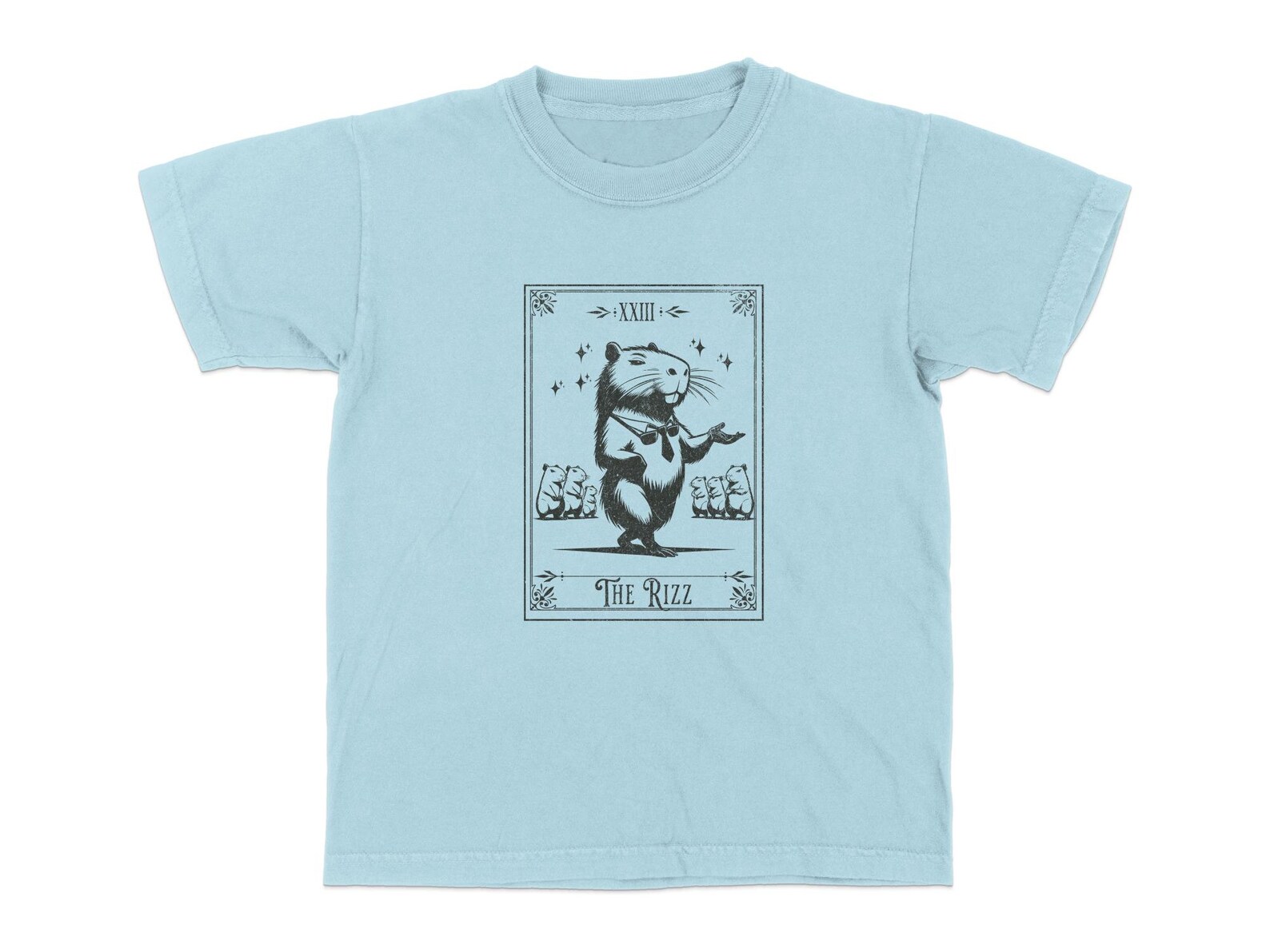 Capybara Shirt, Rizz Shirt, Kids Comfort Colors, Funny Capybara, Trendy ...