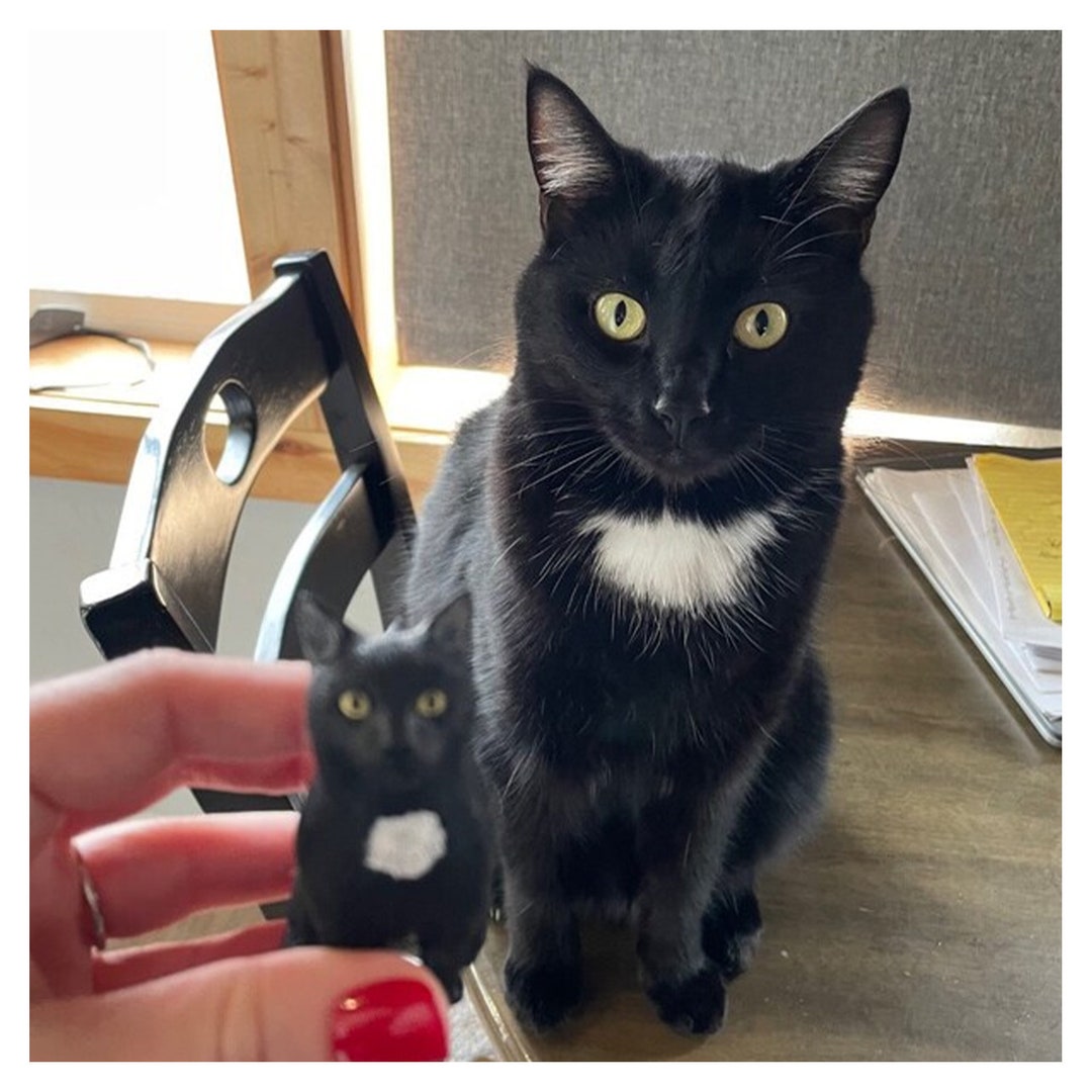 Customized Cat Statues, Gifts for Pets, Pet Replicas, Dog Wedding Cake ...