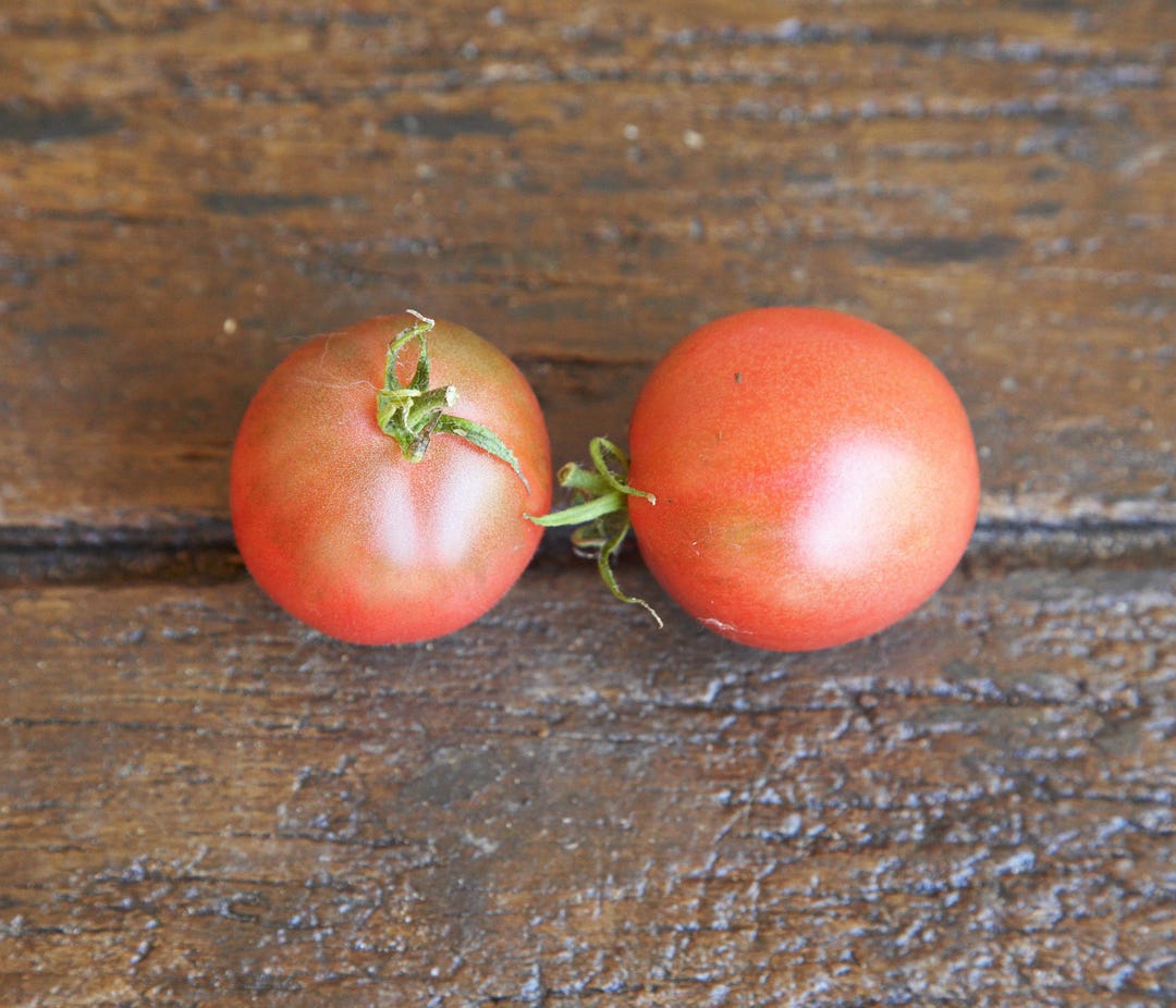 Water Drop Tomato 10 Seeds - Etsy Canada