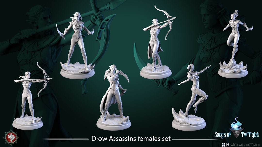 Female Elf / Drow Warrior - Etsy