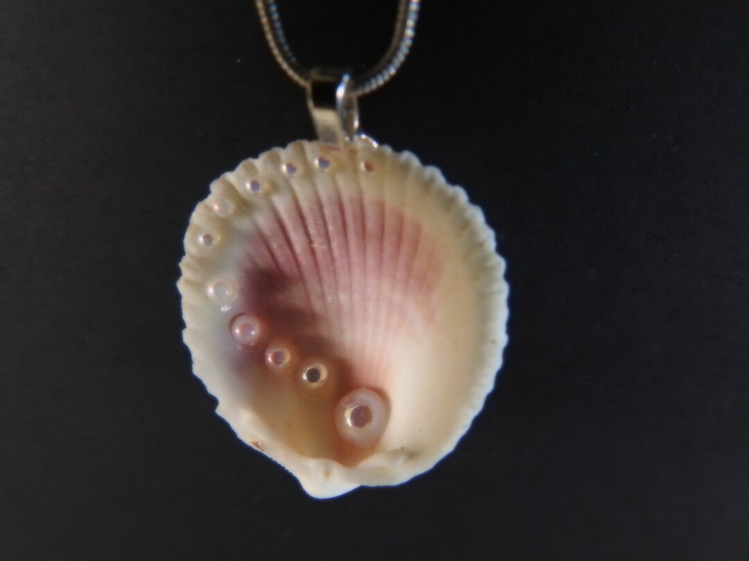 Seashell Pearl Pendant Seashell Pearls Necklace Chain - Etsy