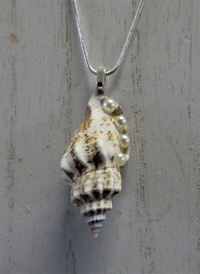 Seashell Pearl Pendant Seashell Pearl Necklace Chain - Etsy