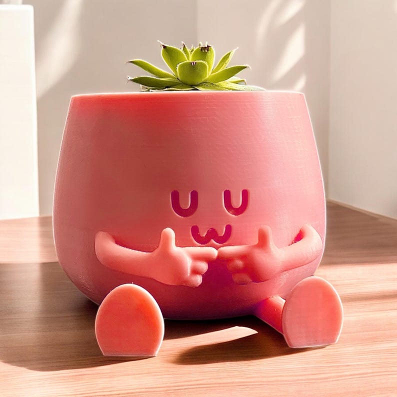 3D Printed 'UWU' Plant Pot: Kawaii Succulent Planter, Quirky Desk Decor ...