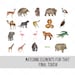 Zoo Safari Alphabet PNG Font Bundle, Watercolor Zoo Animal Letters ...