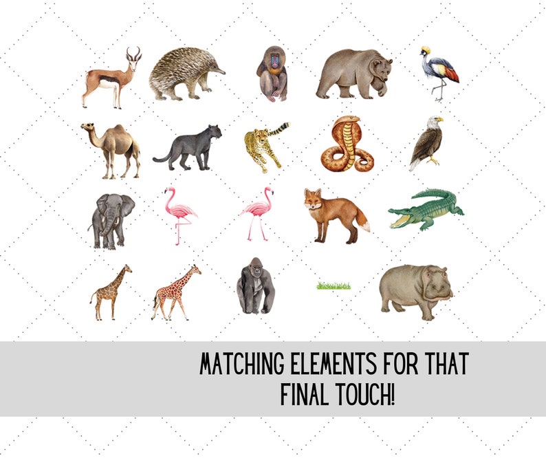 Zoo Safari Alphabet PNG Font Bundle, Watercolor Zoo Animal Letters ...