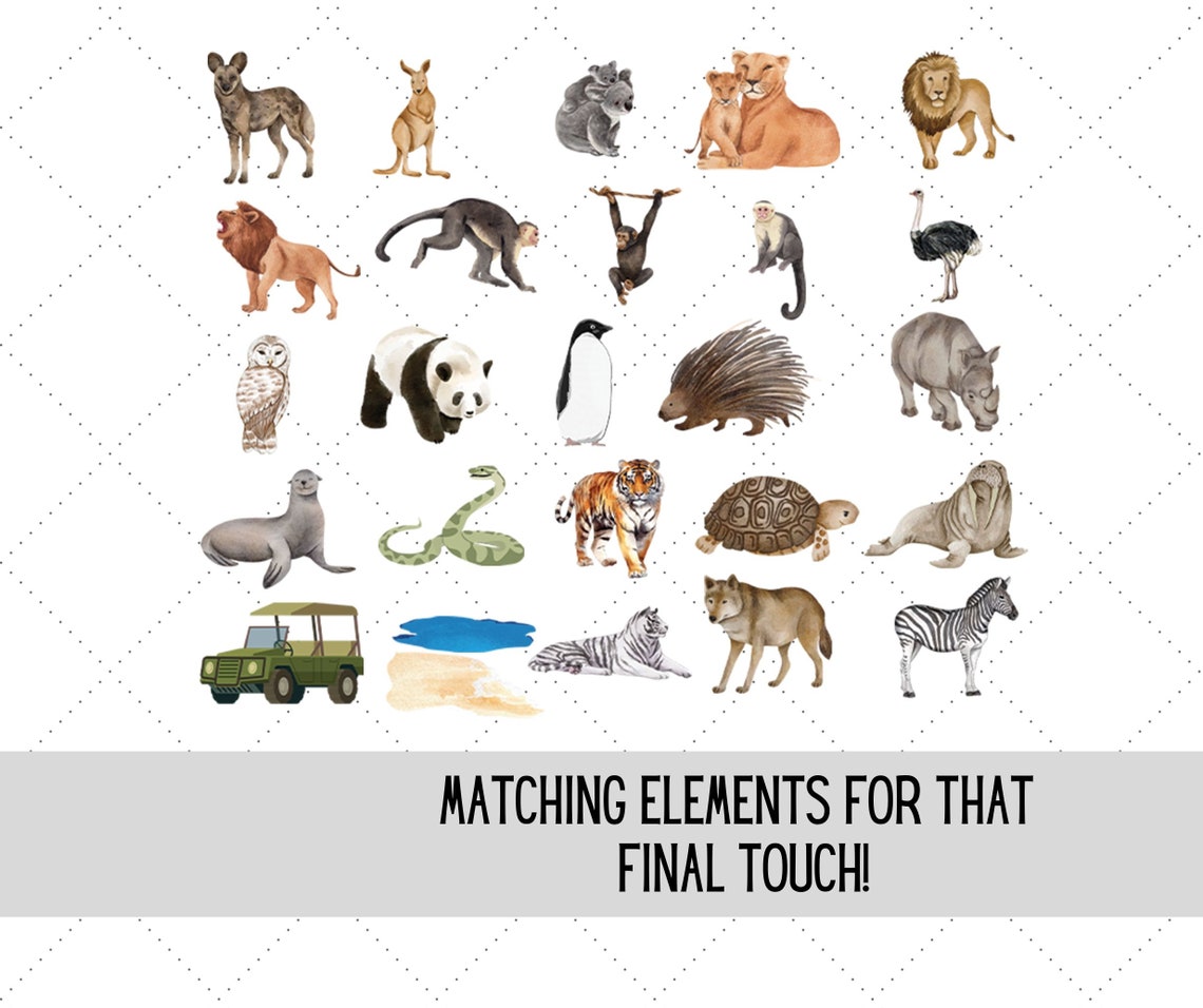 Zoo Safari Alphabet PNG Font Bundle, Watercolor Zoo Animal Letters ...