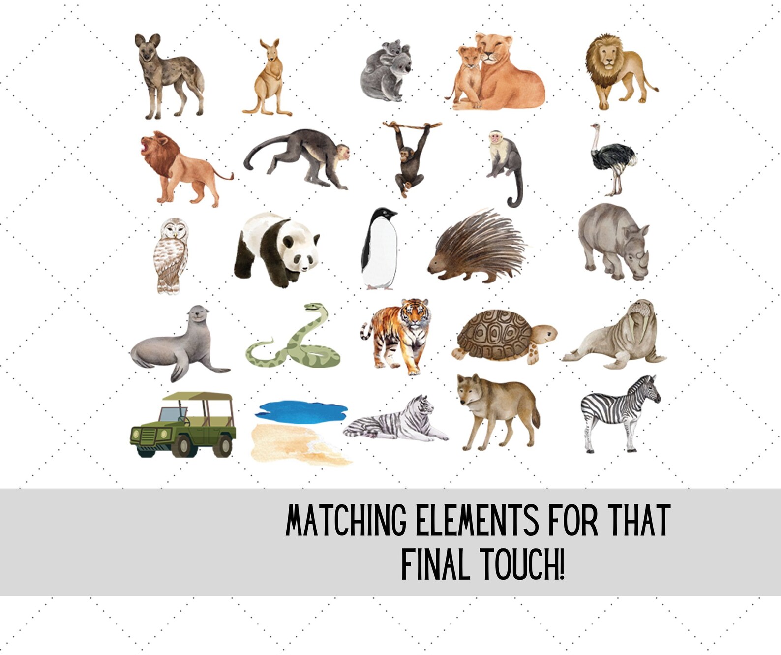 Zoo Safari Alphabet PNG Font Bundle, Watercolor Zoo Animal Letters ...