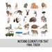 Zoo Safari Alphabet PNG Font Bundle, Watercolor Zoo Animal Letters ...