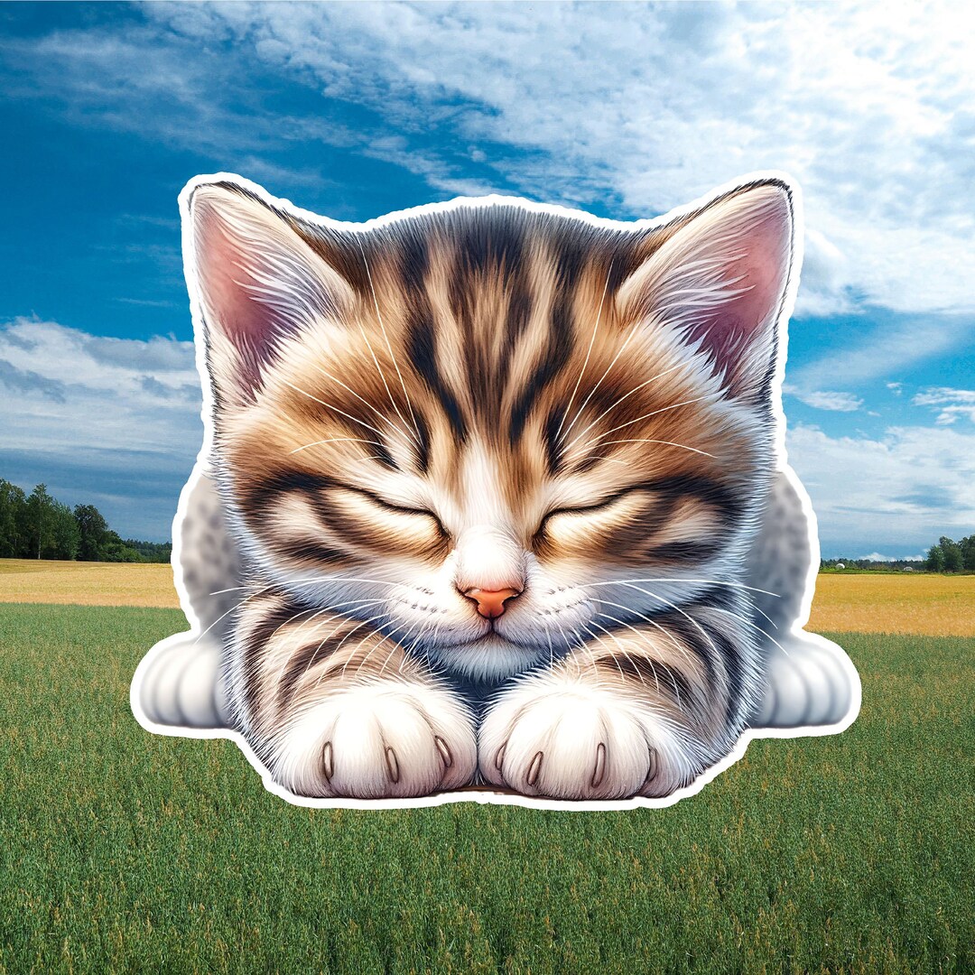 Cute Cat Sticker, Waterproof Vinyl Sticker for Water Bottles, Yoga ...
