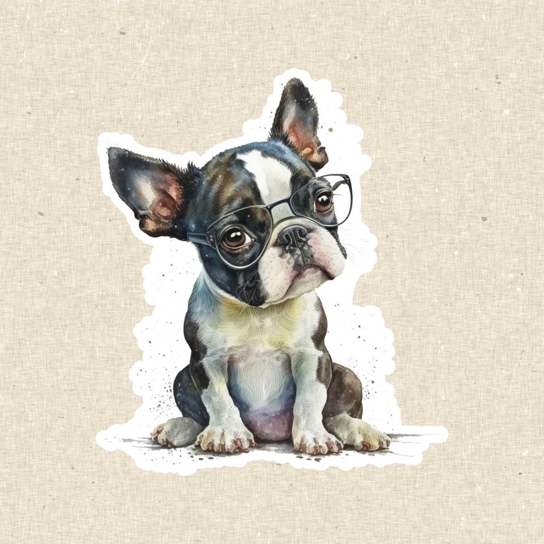 Cute Boston Terrier Sticker For, Boston Terrier Lovers Birthday Gift ...