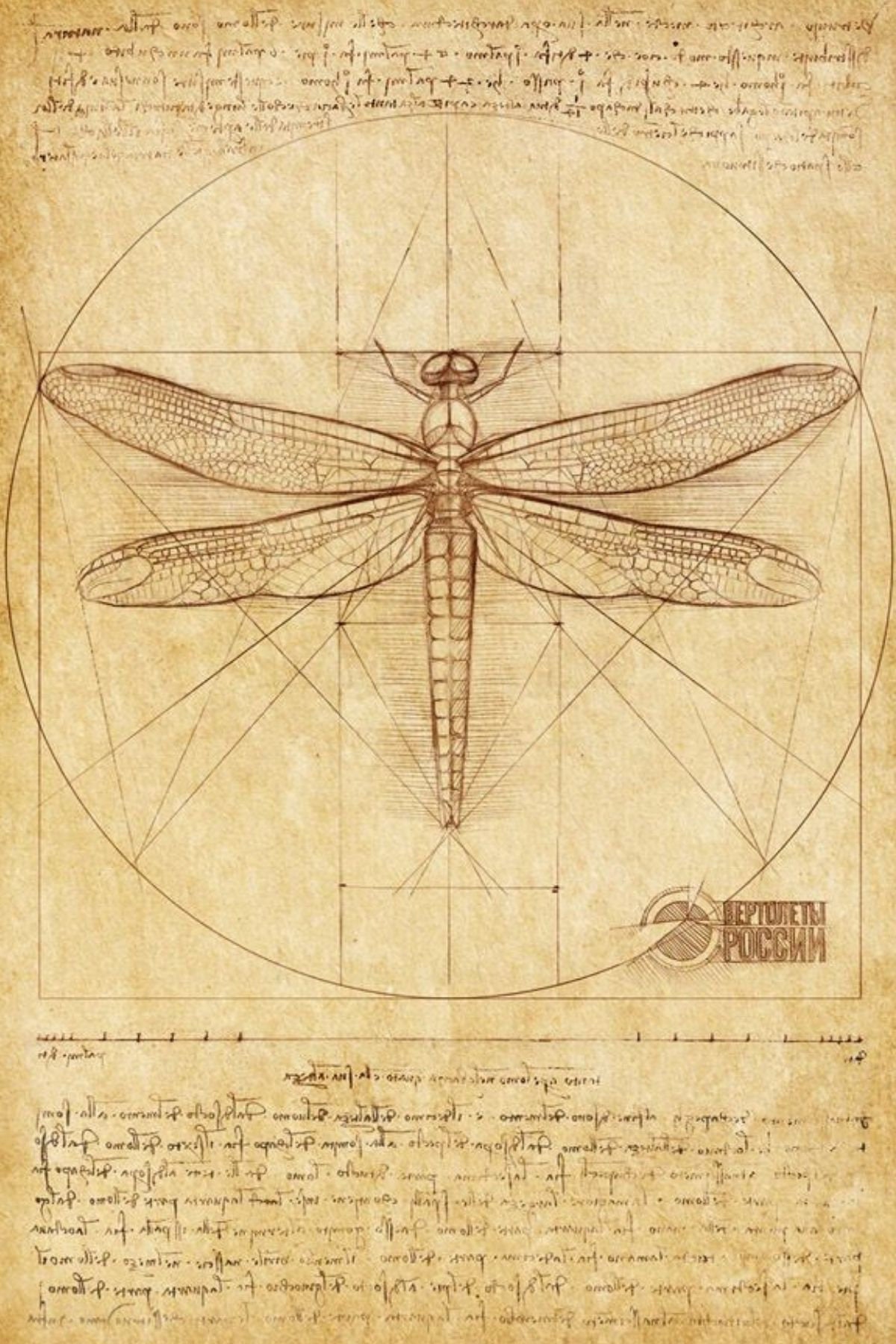 160 PCS Dark Academia Aesthetic Wall Decor - Vintage Poster Wall ...