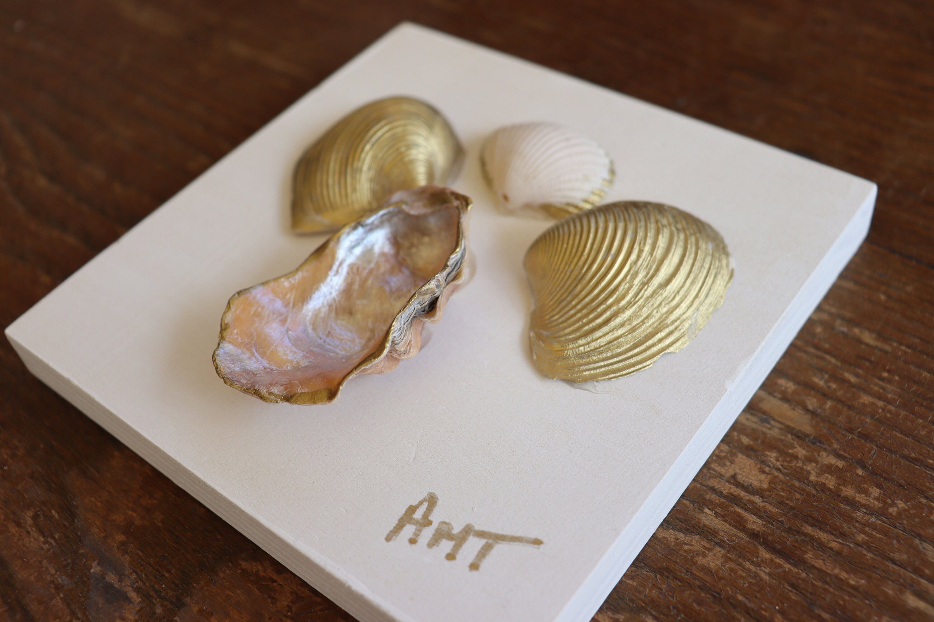 Oyster Shell Angel Wall Art Cockle Shell Beach Decor Coastal Decor ...