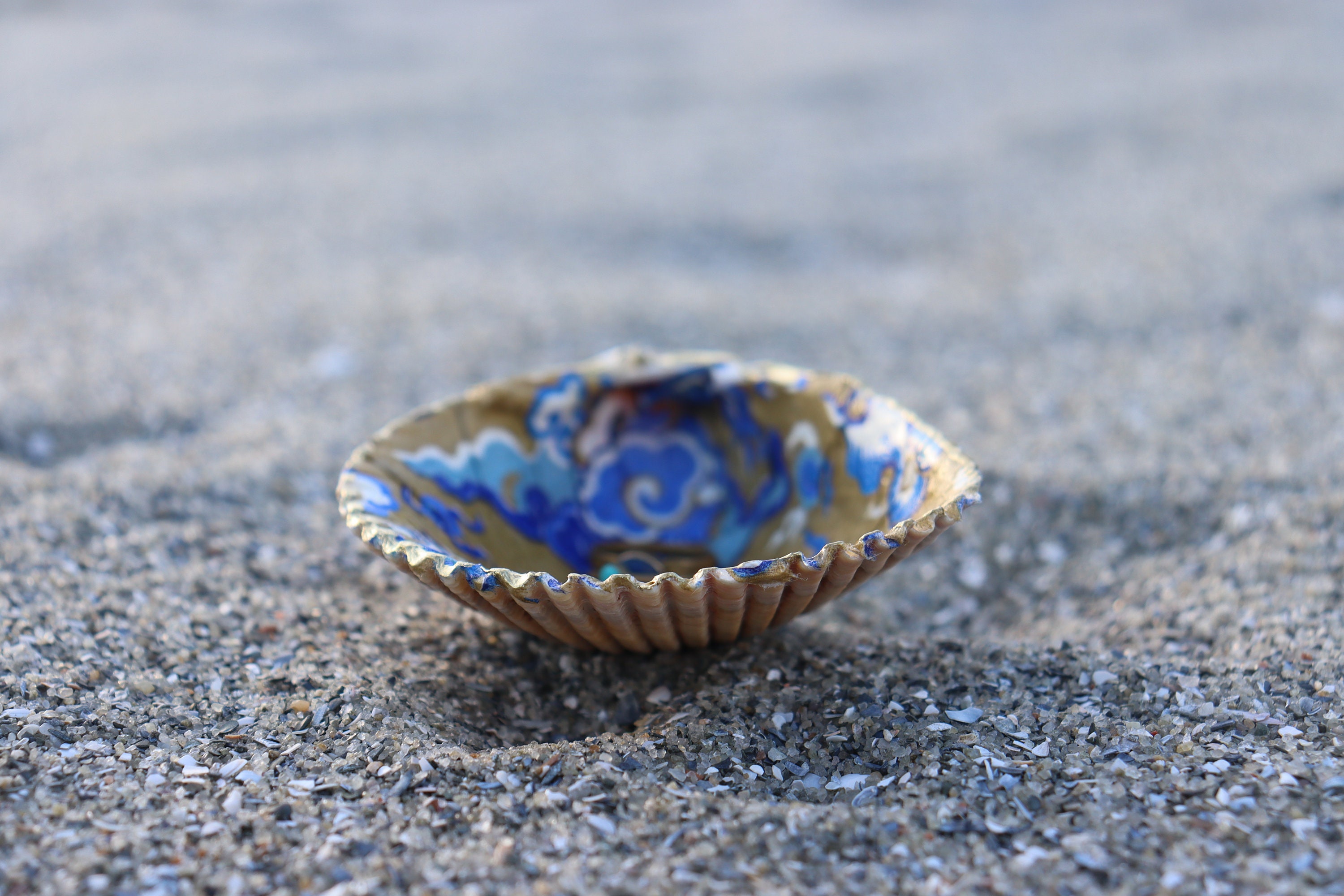 Blue Dragon Shell Jewelry Holder Jewelry Display Ring Holder Ring Dish ...