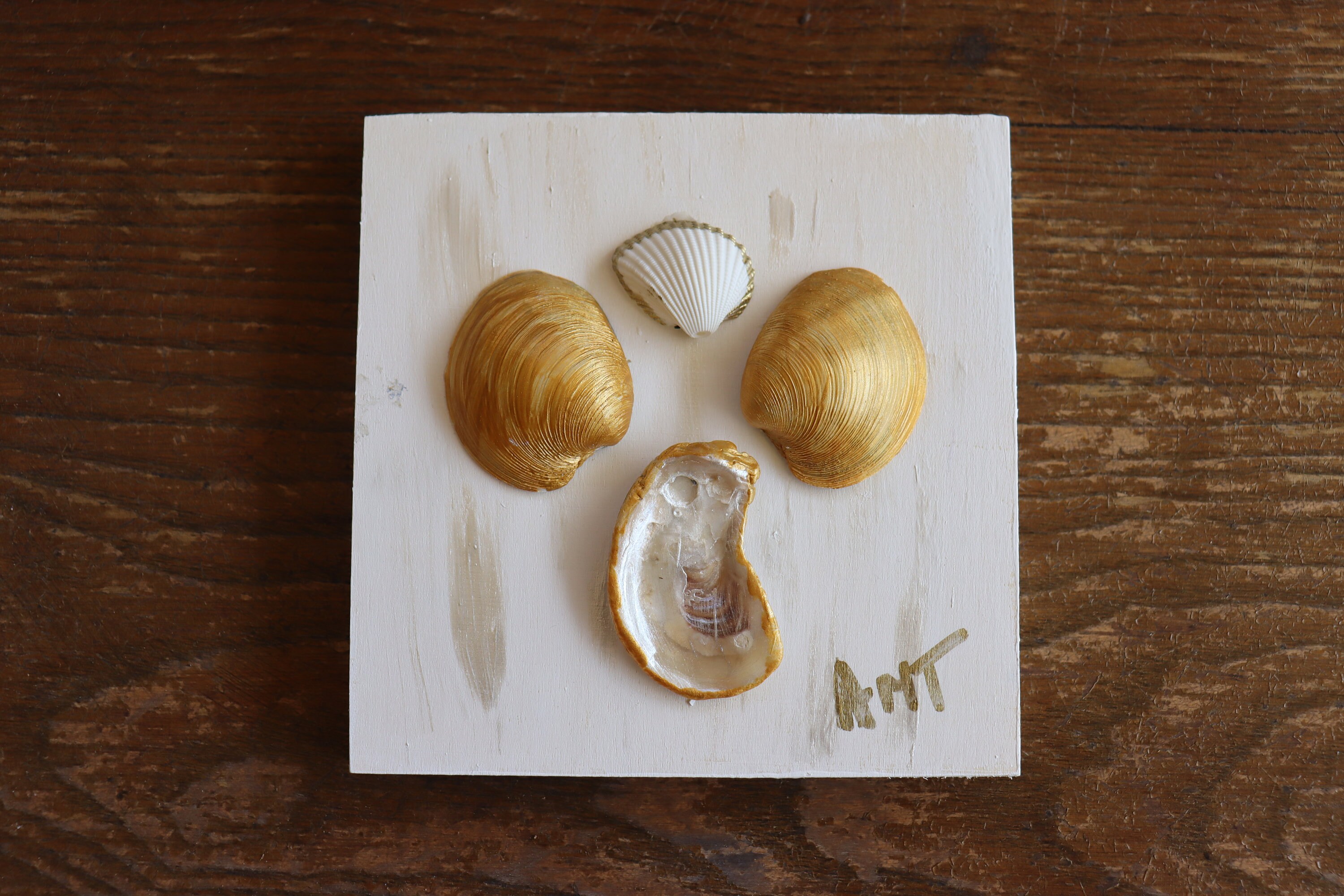 Oyster Shell Angel Wall Art Cockle Shell Beach Decor Coastal Decor ...