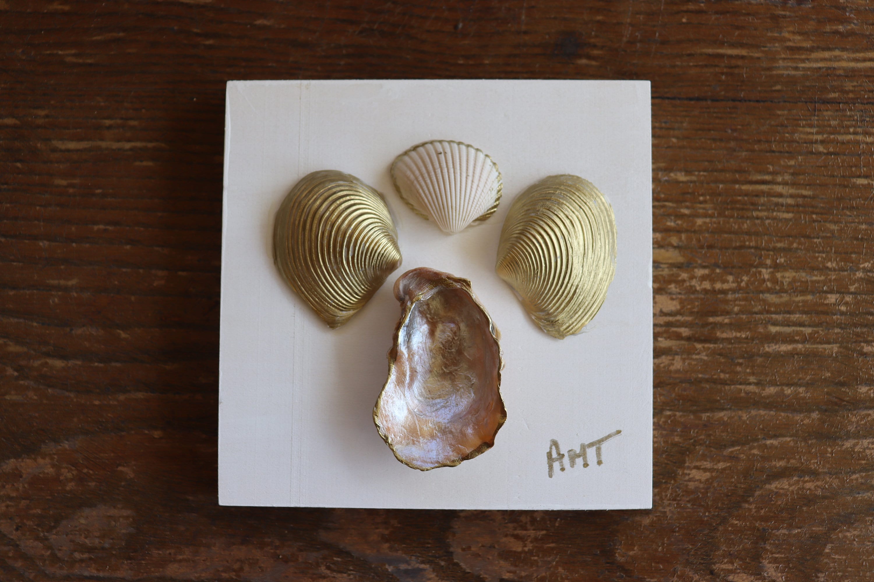 Oyster Shell Angel Wall Art Cockle Shell Beach Decor Coastal Decor ...