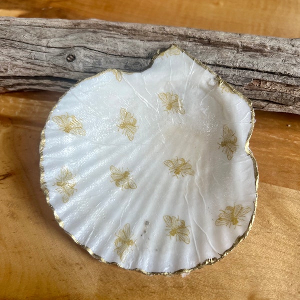 Shell Jewelry Holder - Etsy