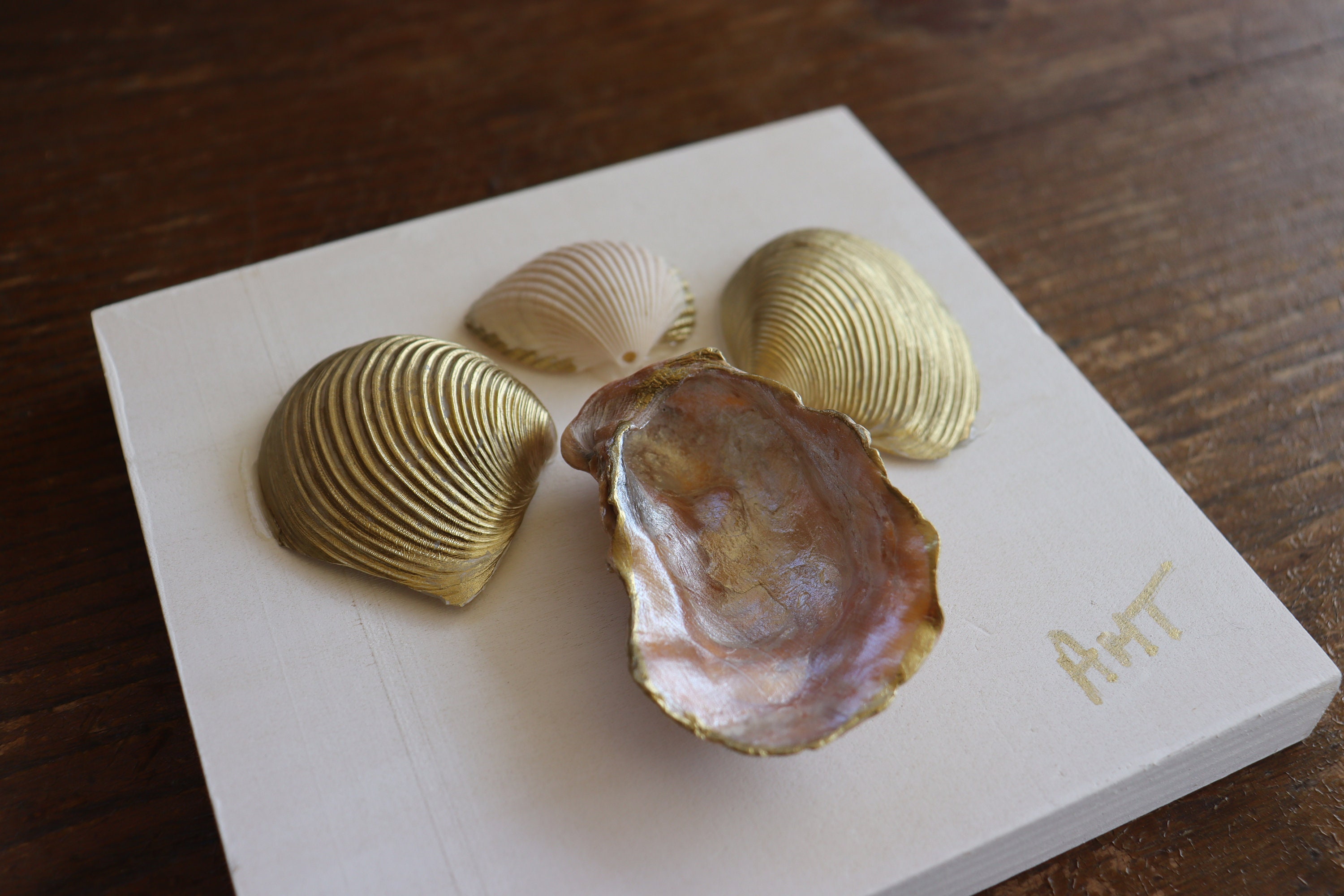 Oyster Shell Angel Wall Art Cockle Shell Beach Decor Coastal Decor ...