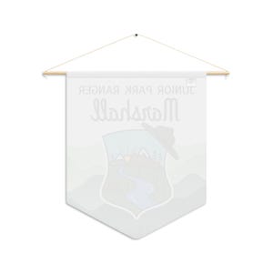 CUSTOM National Park Nursery Sign, National Park Kids Wall Sign, Junior ...