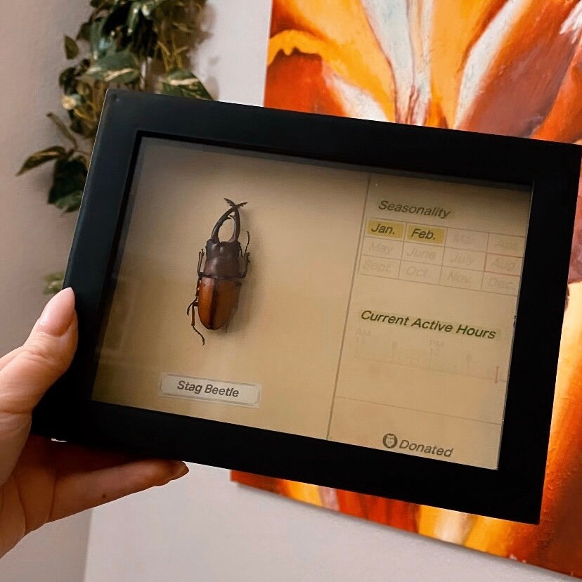 Critterpidia Animal Crossing Bug Shadow Box Templates - Etsy