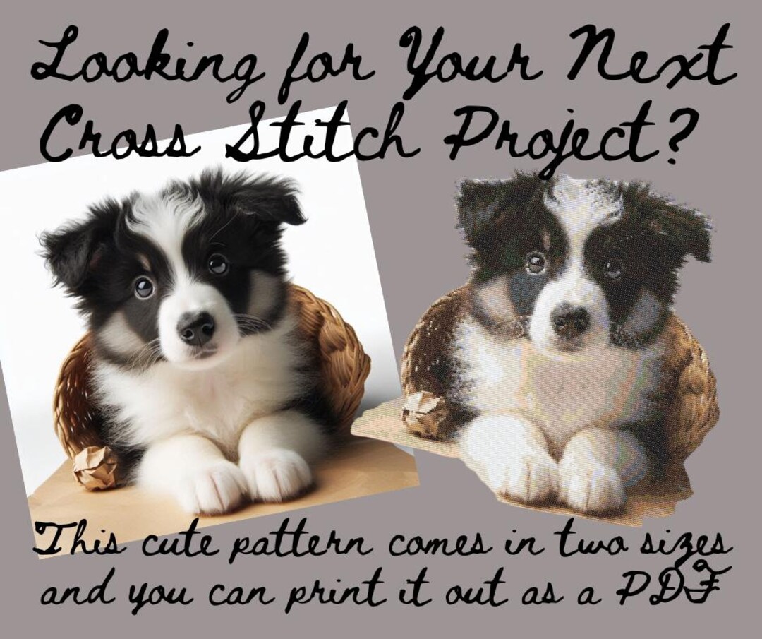Border Collie Puppy Cross Stitch Pattern | Cute Dog Design | 2 Sizes ...