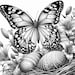 55 Easter Butterfly Coloring Pages, Coloring Book, Adult Coloring Book ...